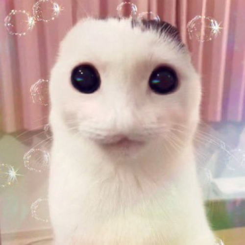 Create a mr hyperfixation they call me Tier List - TierMaker