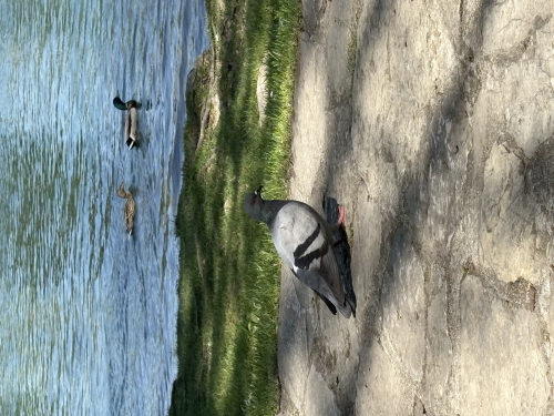 Create a No particular template Tier List - TierMaker