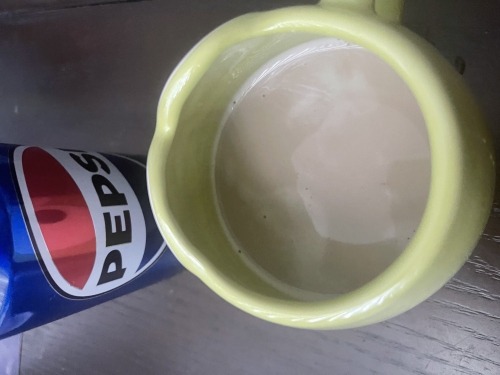 Create a ABOverse miss misa’s cat cafe Tier List - TierMaker