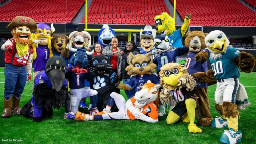 NFL Mascots Tier List (Community Rankings) - TierMaker