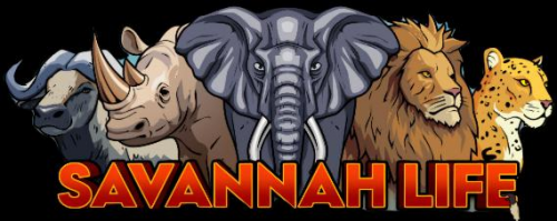 Create a Roblox Savannah Life Up to date Tier List - TierMaker