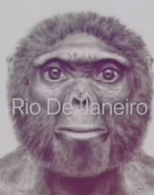 Prof Percy Tier List (Community Rankings) - TierMaker