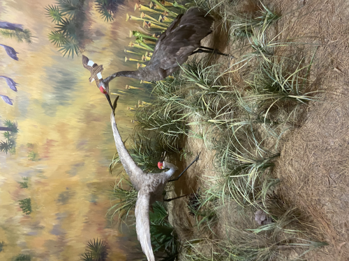 Create a Road-trip playlist ver. VA Tier List - TierMaker