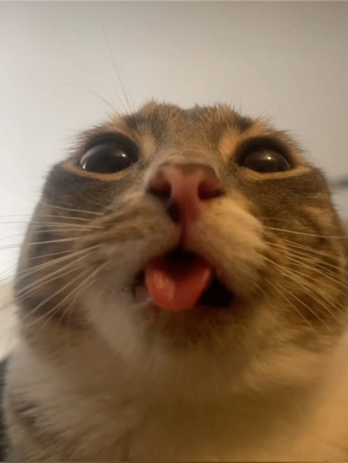 Ultimate Phrog Man Video Game Tier List (Community Rankings) - TierMaker