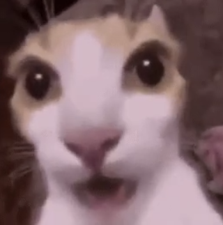 Create a gtag all maps Tier List - TierMaker