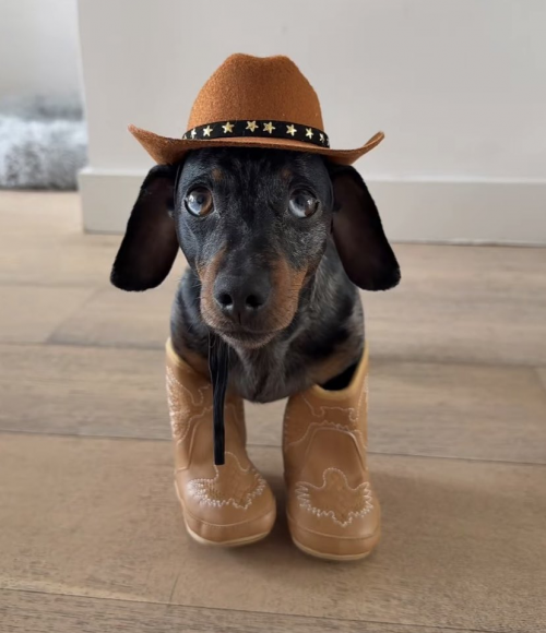 Create a Grupo do Gaebe Tier List - TierMaker