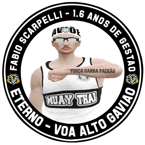 Create a Player hooli Tier List - TierMaker