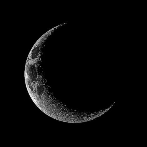 Create a BLR: ASIA RAGEBAIT TIER LIST Tier List - TierMaker