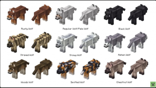 Create a All Minecraft wolf types Tier List - TierMaker