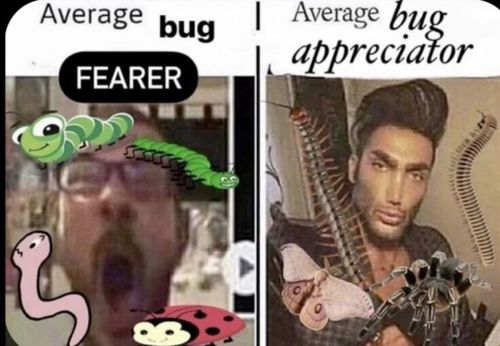 Insect and Bug (order names) Tier List (Community Rankings) - TierMaker