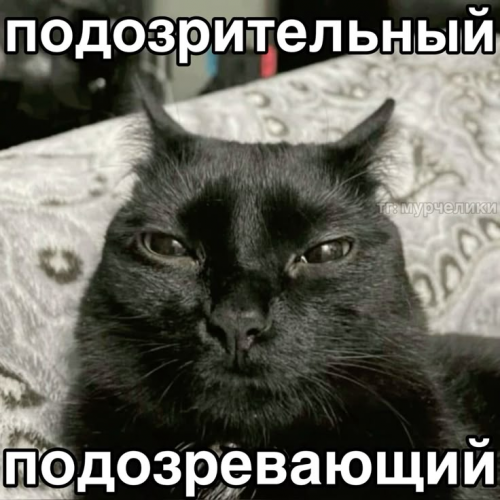 Family Tier List (Community Rankings) - TierMaker