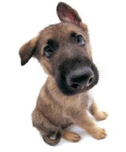 Create a YELO CANDIDATES Tier List - TierMaker