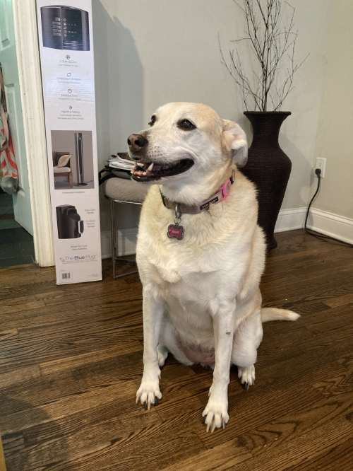 Shed Inc Tier List (Community Rankings) - TierMaker