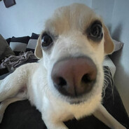 Call of Duty Factions Cod4 - Ghosts Tier List (Community Rankings ...