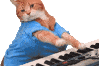 Angryscar09 7tv emotes Tier List (Community Rankings) - TierMaker