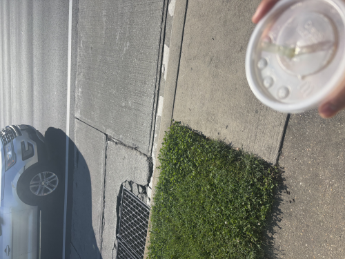 Devin Young albums ranking Tier List (Community Rankings) - TierMaker