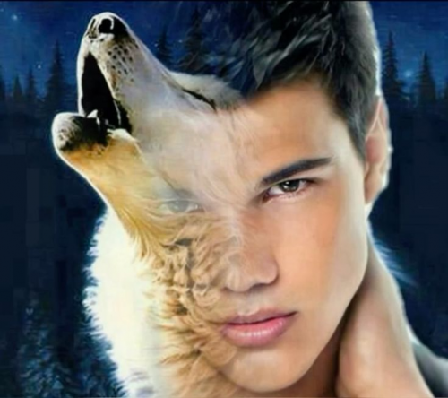 Create a fine shyt Tier List - TierMaker