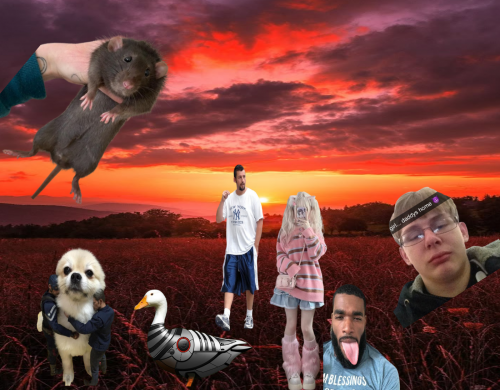 Create a Discord gc Tier List - TierMaker