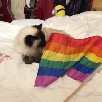 Tierlist de Gabriel PDM Tier List (Community Rankings) - TierMaker