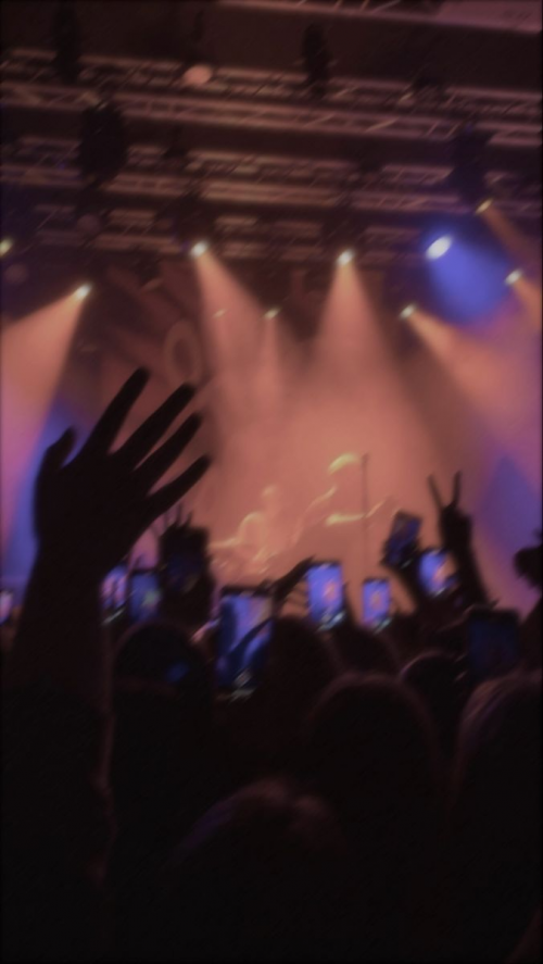 DAY AT THE SHOW 2025 CONCERT RANKINGS Tier List (Community Rankings ...