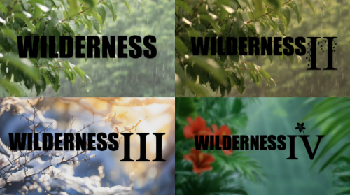Create a Wilderness Series Episode Tierlist Tier List - TierMaker