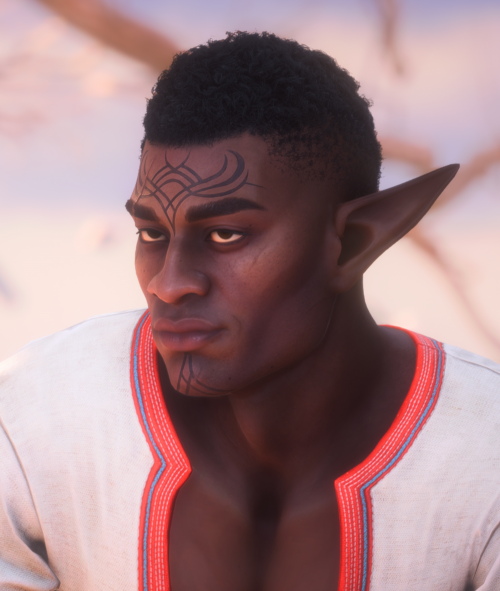 Dragon Age Companions Tier List (Community Rankings) - TierMaker