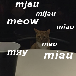 meow spellings in different languages Tier List (Community Rankings ...