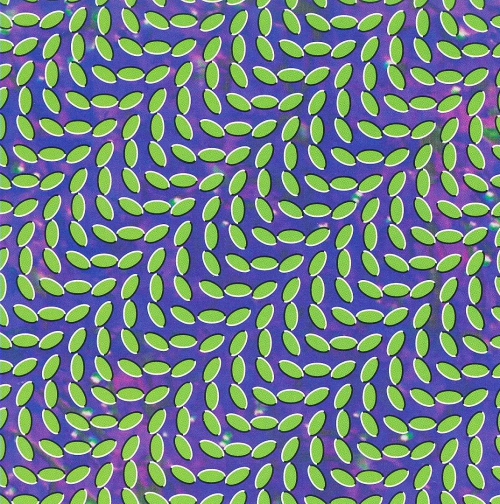 Create a animal collective albums + eps, singles Tier List - TierMaker