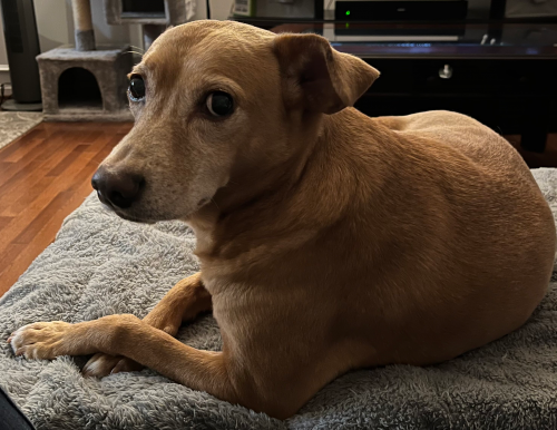 KGRP Hosts Tier List (Community Rankings) - TierMaker