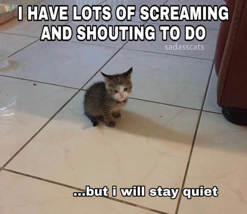 Create a Pt Ocs Tier List - TierMaker