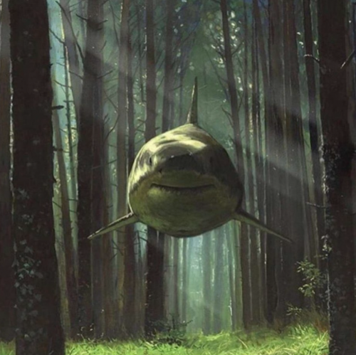 Flying Shark Tier List (Community Rankings) - TierMaker