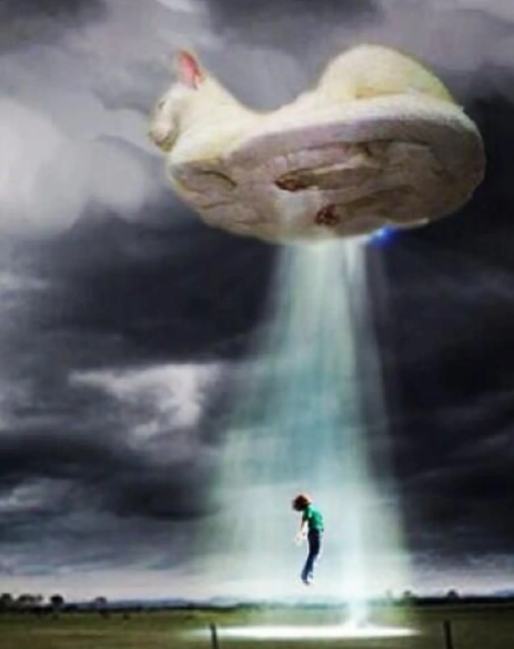 Heatseeker Heaven Pfps Tier List (Community Rankings) - TierMaker