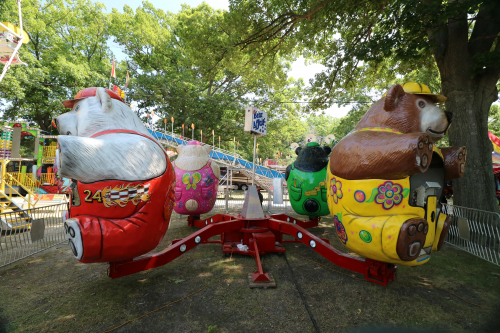 Create a Elliot's Amusements Rides Tier List - TierMaker