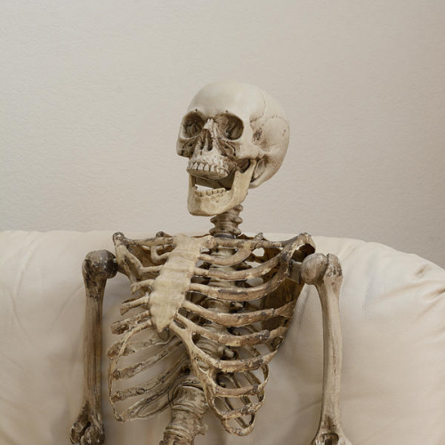 Create a Best Skeleton Tier List - TierMaker