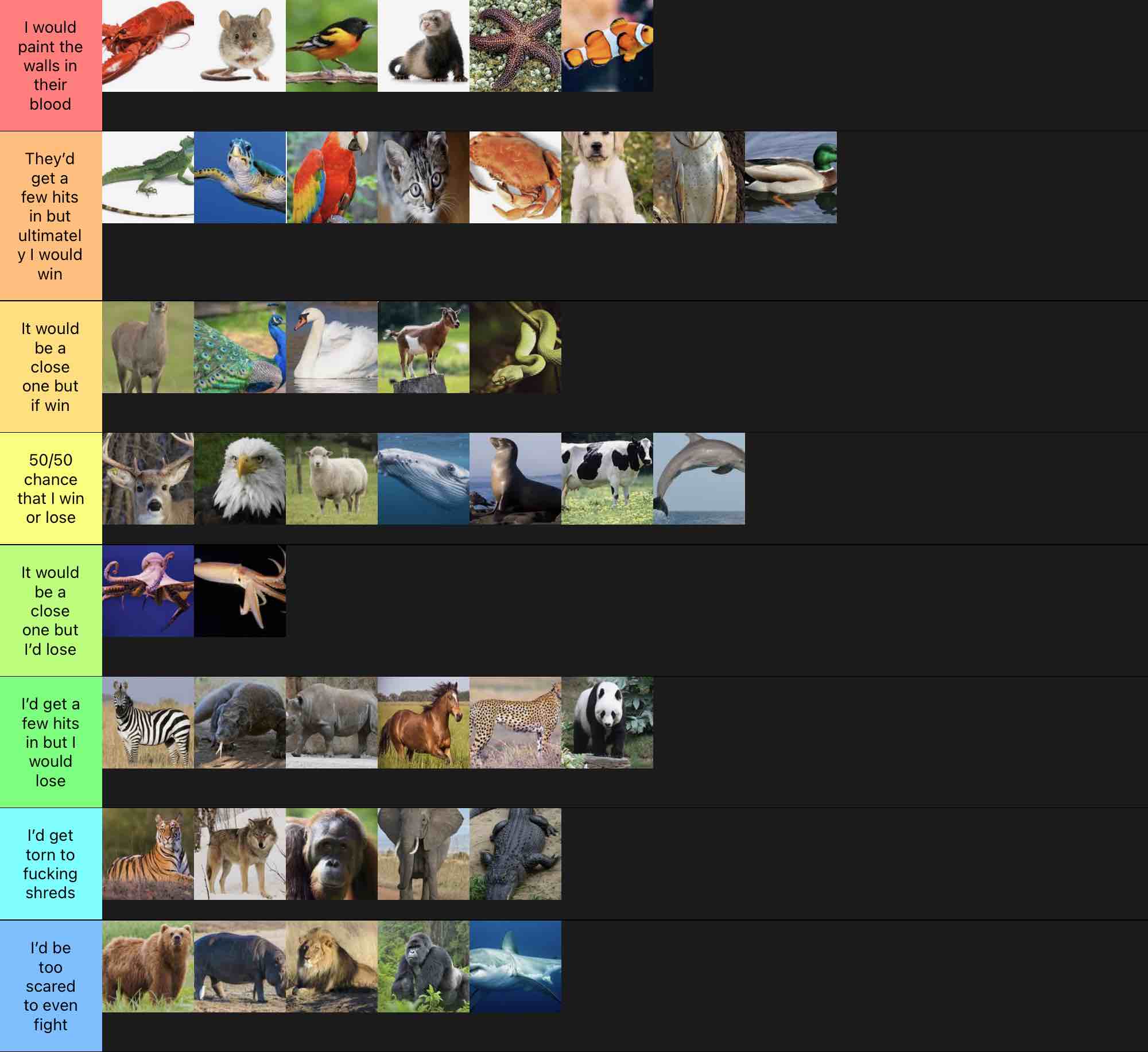 Animals I could beat in a fight Tier List (Community Rankings) - TierMaker