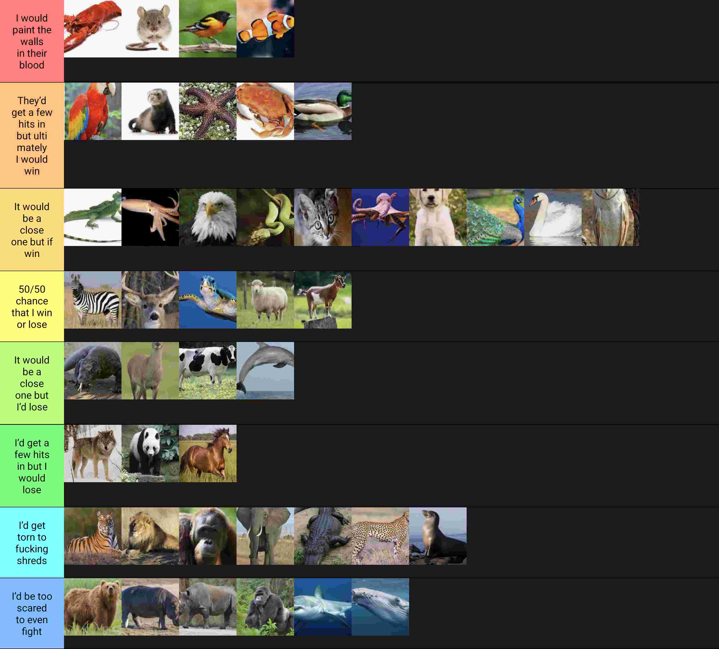Animals I could beat in a fight Tier List (Community Rankings) - TierMaker