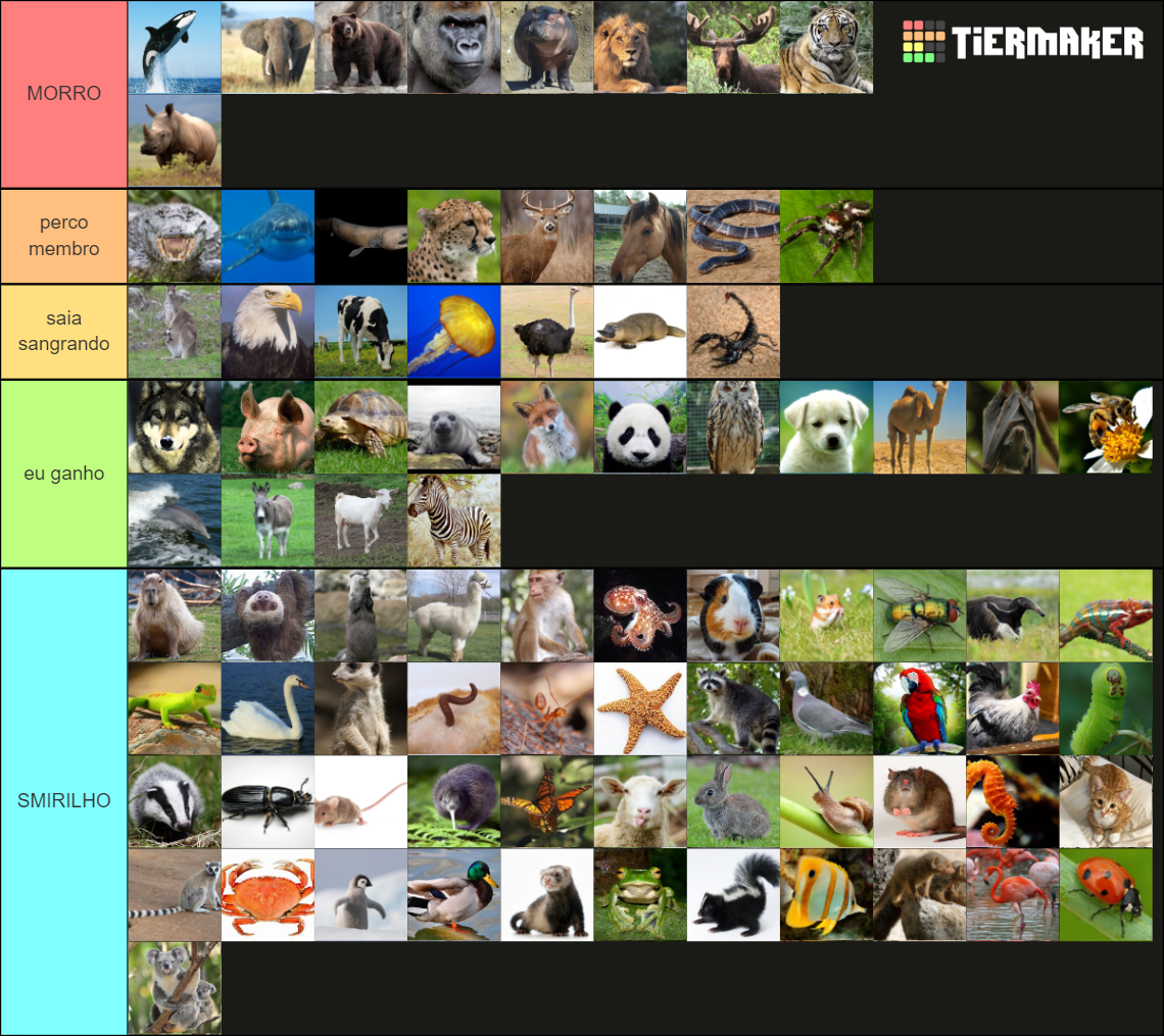 Every animal Tier List (Community Rankings) - TierMaker