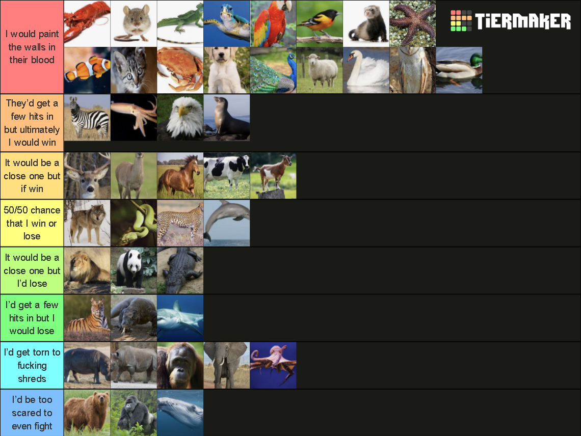 Animals I could beat in a fight Tier List (Community Rankings) - TierMaker