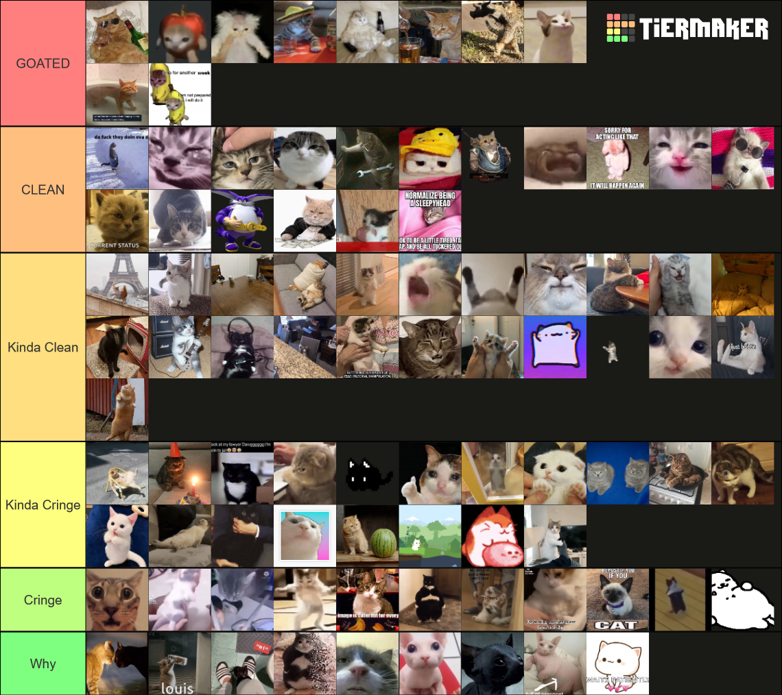 Timb's Cat Meme Maker Tier List (Community Rankings) - TierMaker