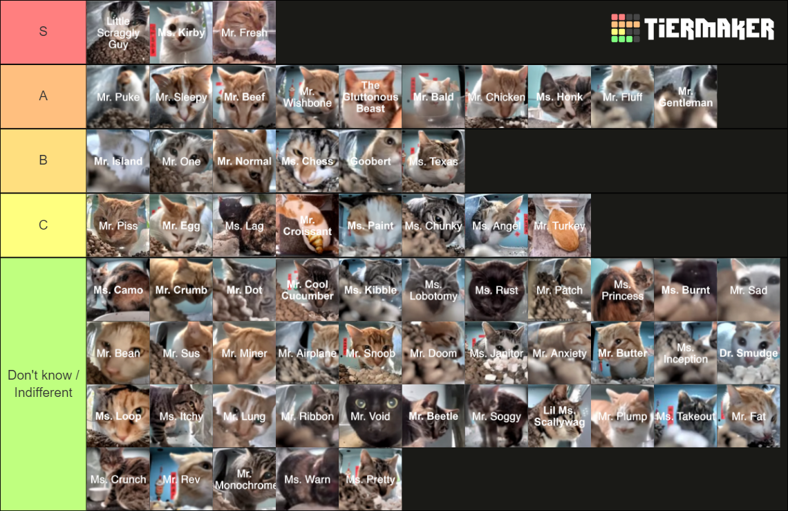 Hello Street Cat - Mr Fresh Feeder 1 Tier List (Community Rankings ...