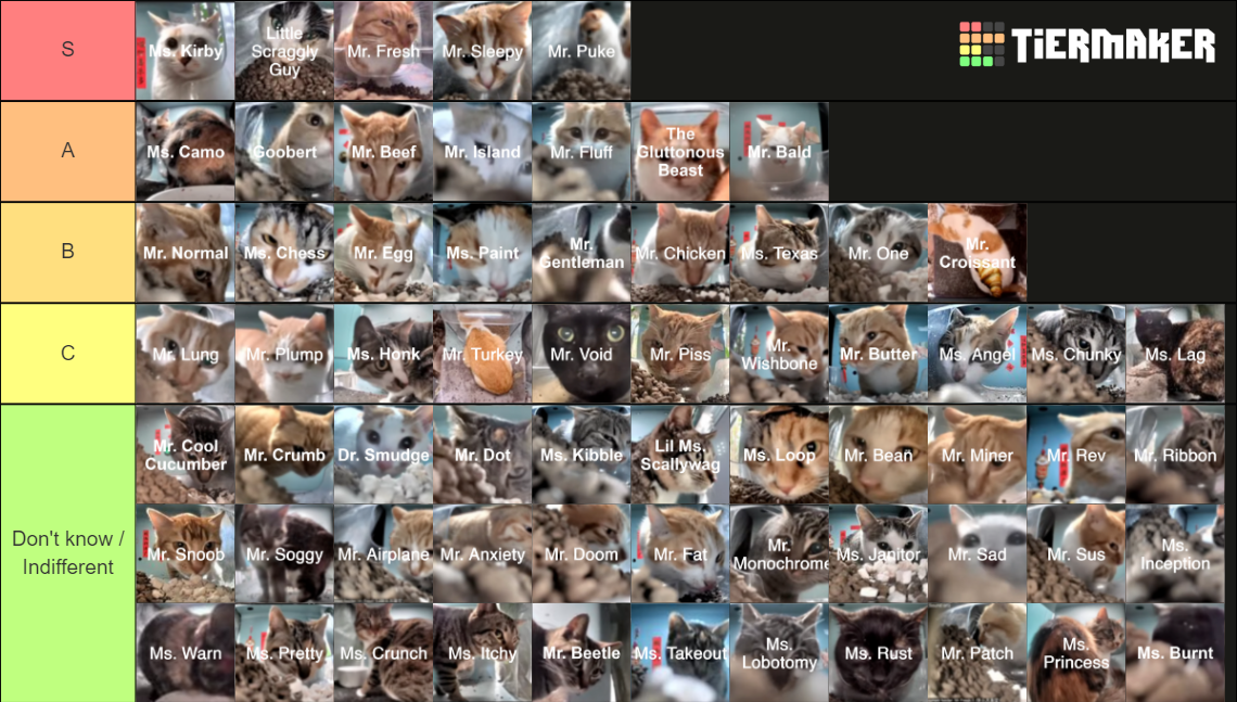 Hello Street Cat - Mr Fresh Feeder 1 Tier List (Community Rankings ...