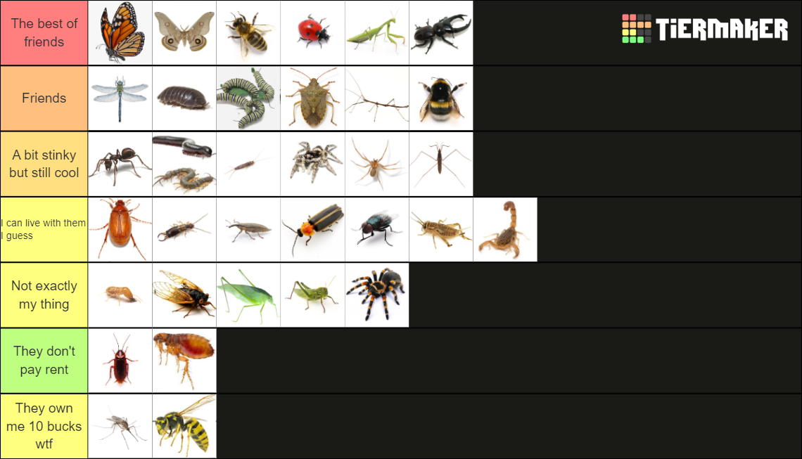 Official Bug Tier List (Community Rankings) - TierMaker