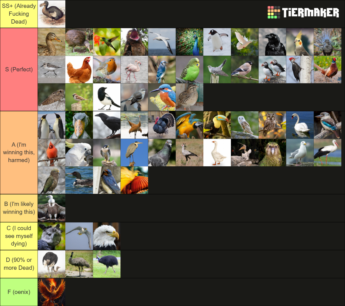 Iconic Birds Tier List (Community Rankings) - TierMaker