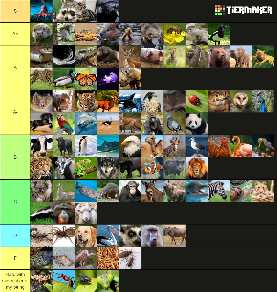 TIER LIST 100 ANIMALES SUPER DEFINITIVO Tier List (Community Rankings ...