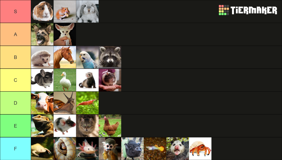 ULTIMATE PET TIER LIST Tier List (Community Rankings) - TierMaker