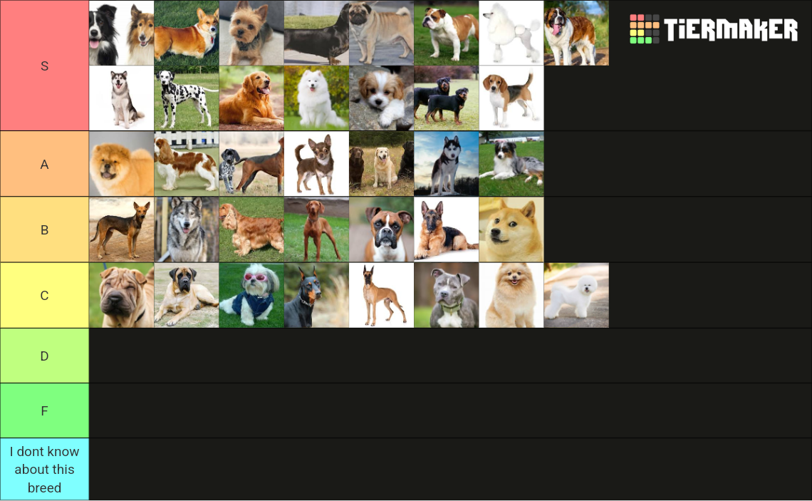Dog breed Tier List (Community Rankings) - TierMaker