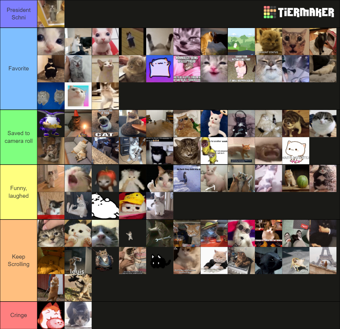Timb's Cat Meme Maker Tier List (Community Rankings) - TierMaker