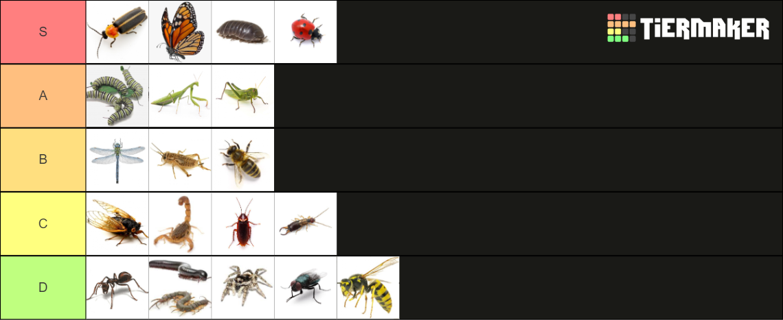Official Bug Tier List (Community Rankings) - TierMaker