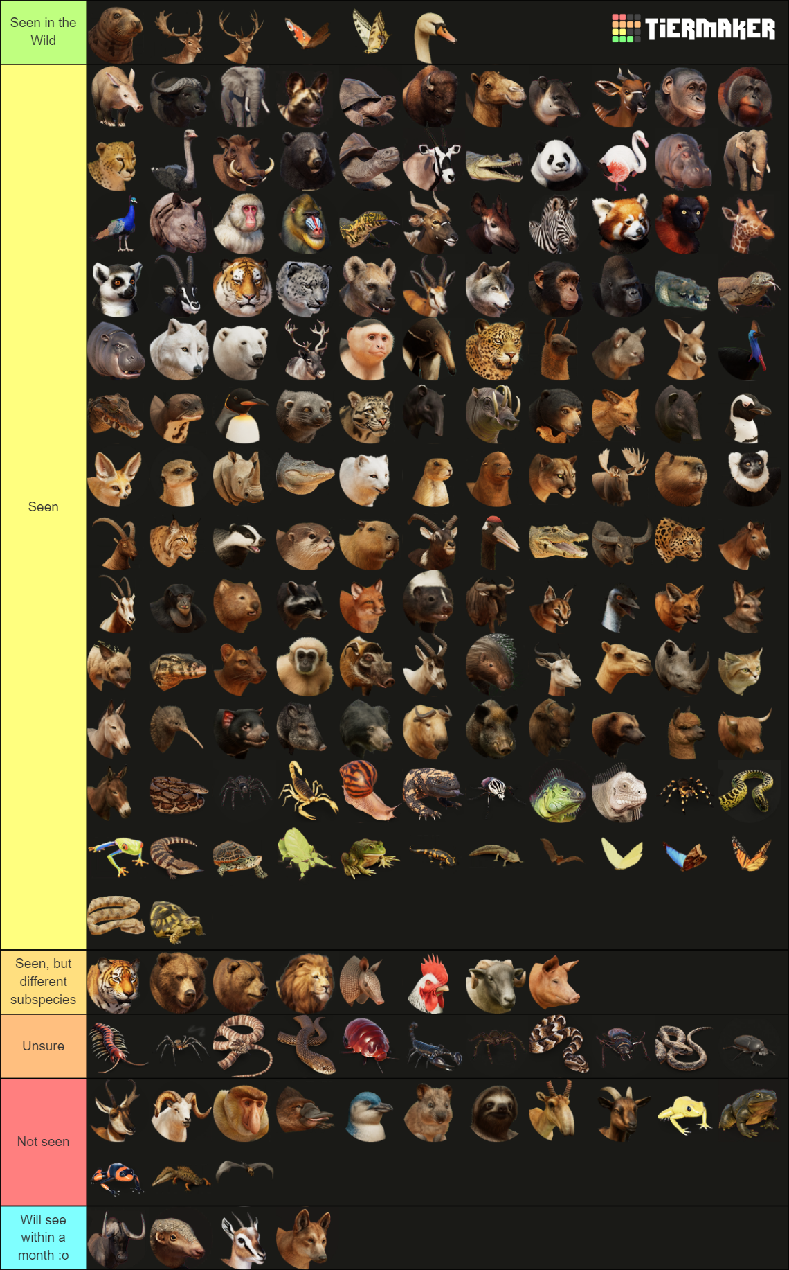 Planet Zoo Tier List (Community Rankings) - TierMaker