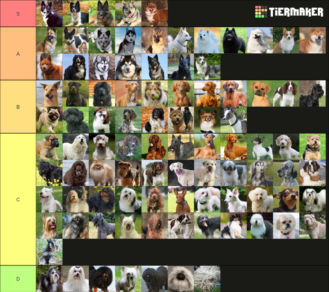 Dog Breeds Tier List (Community Rankings) - TierMaker